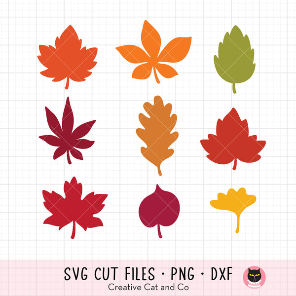Fall Maple Leaves SVG PNG DXF Bundle | CreativeCatandCo